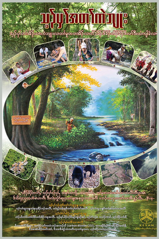 Benefits of the Forest