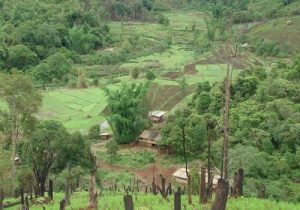 The Karen rotational farming system