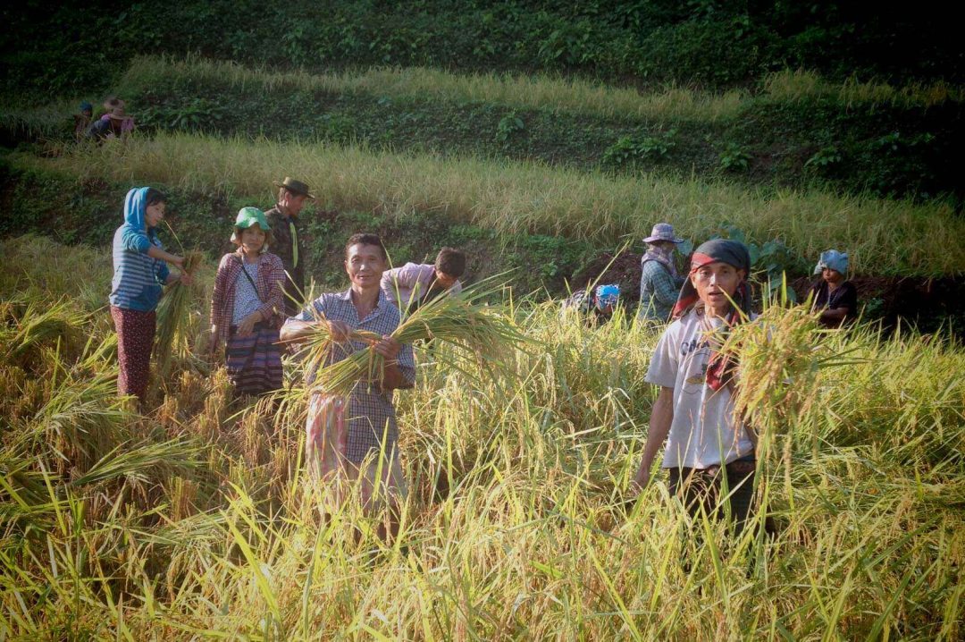 Community Based Livelihoods Initiative (CBLI) and IDP Livelihood ...