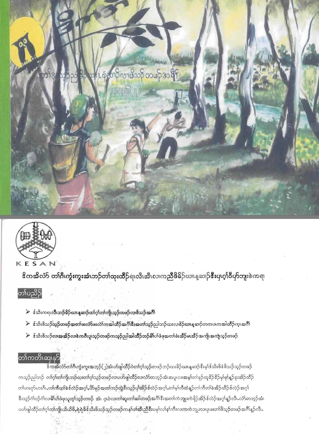 Environmental knowledge education for children (Karen language)