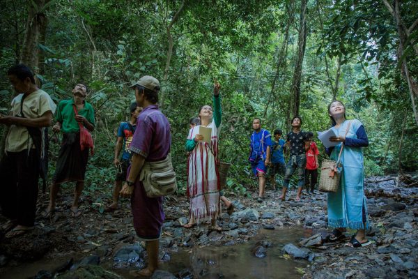 Land & Forest Management