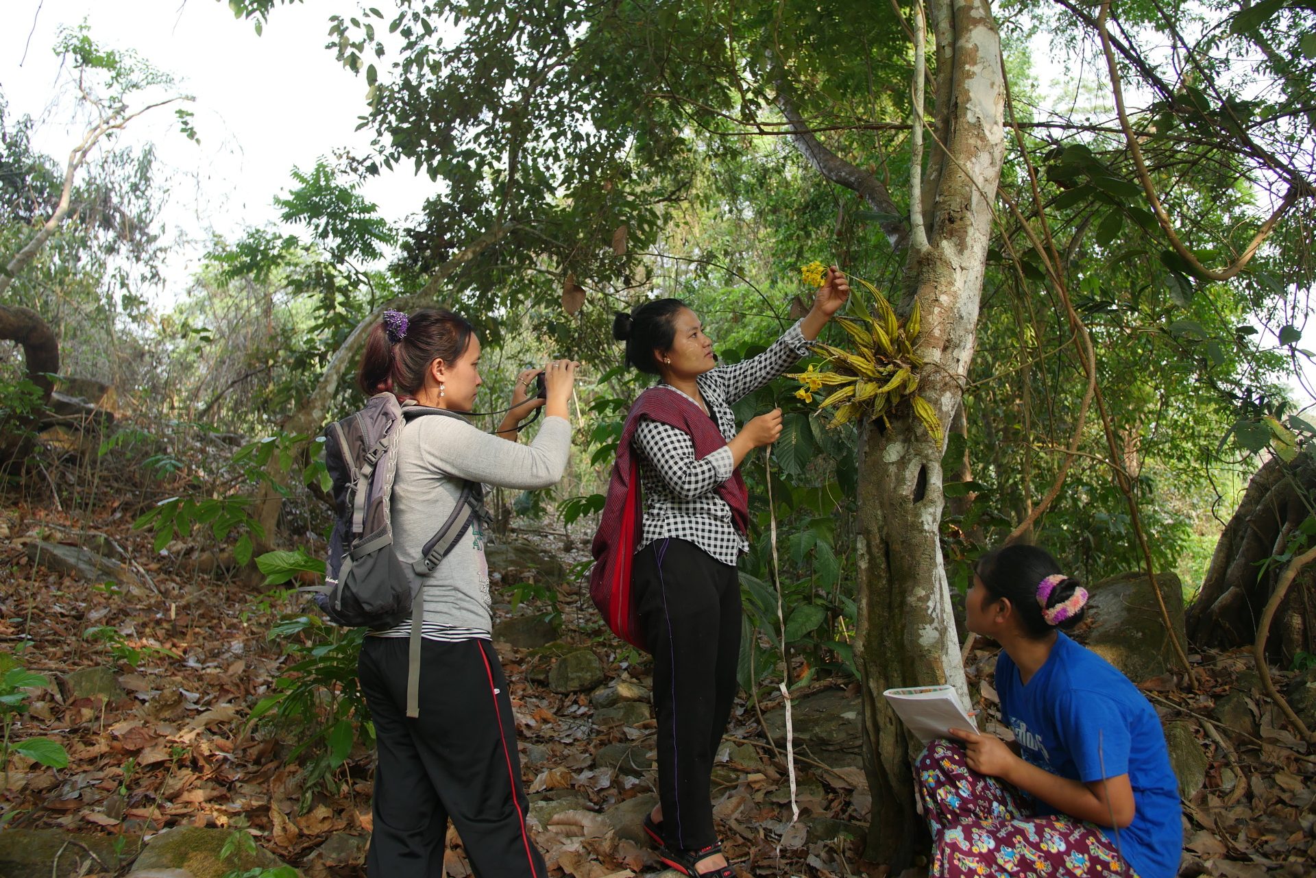 Women-led research
