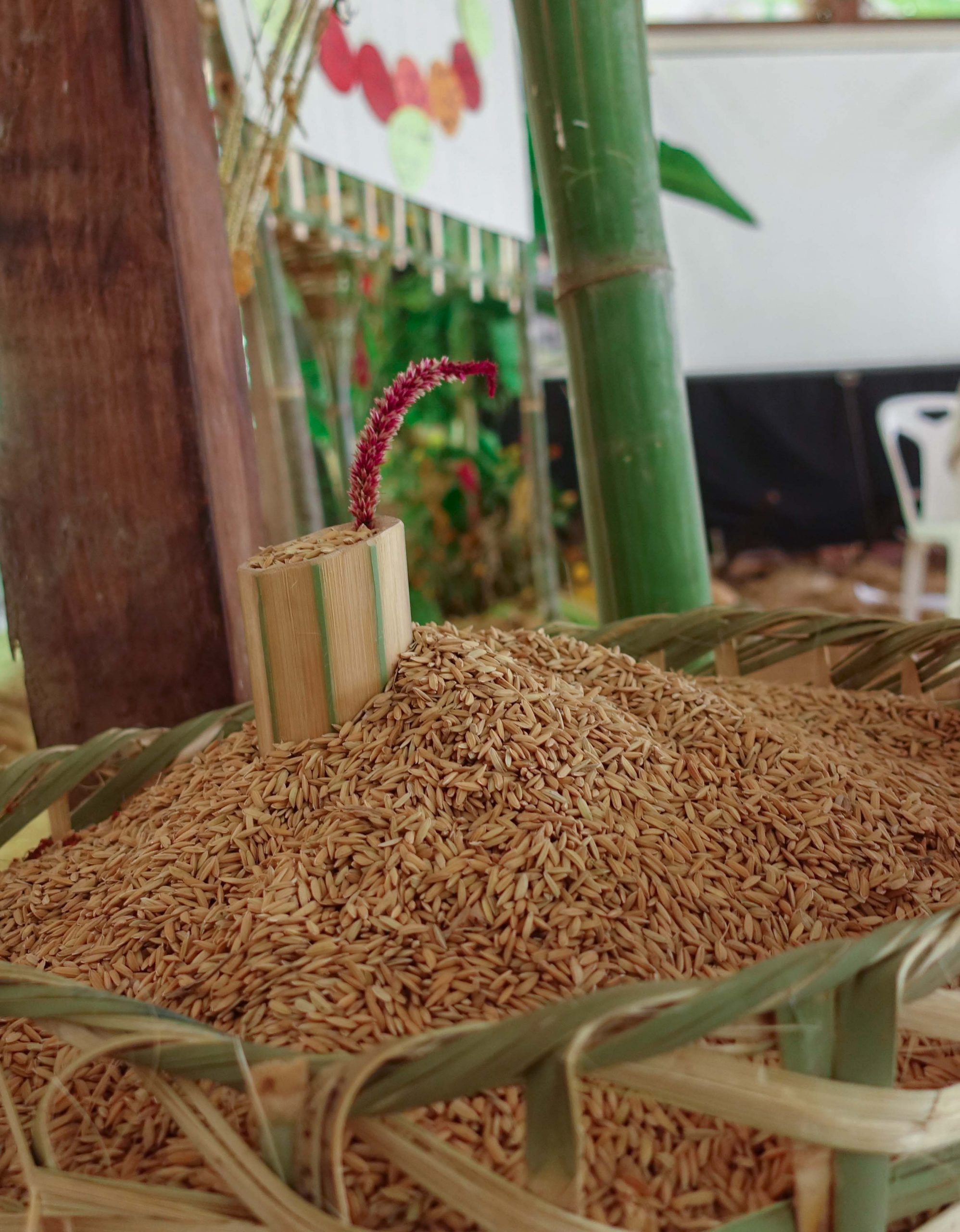 Strengthening Livelihoods and Protecting the Environment