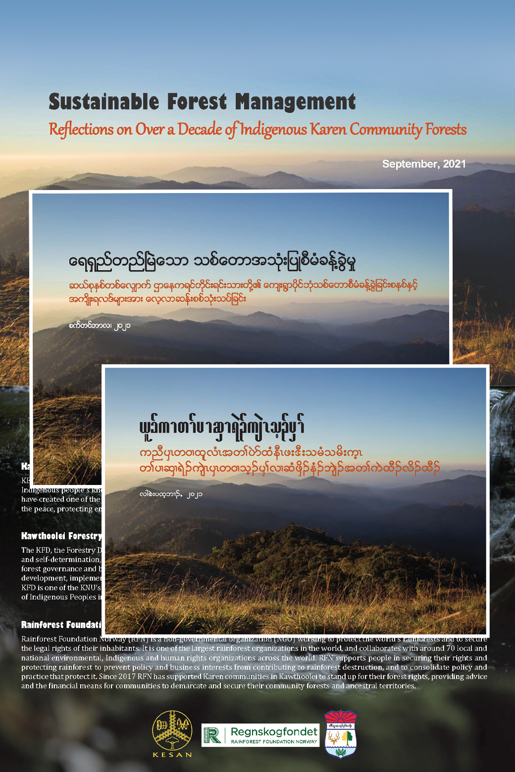 Sustainable Forest Management: Reflections on Over a Decade of ...