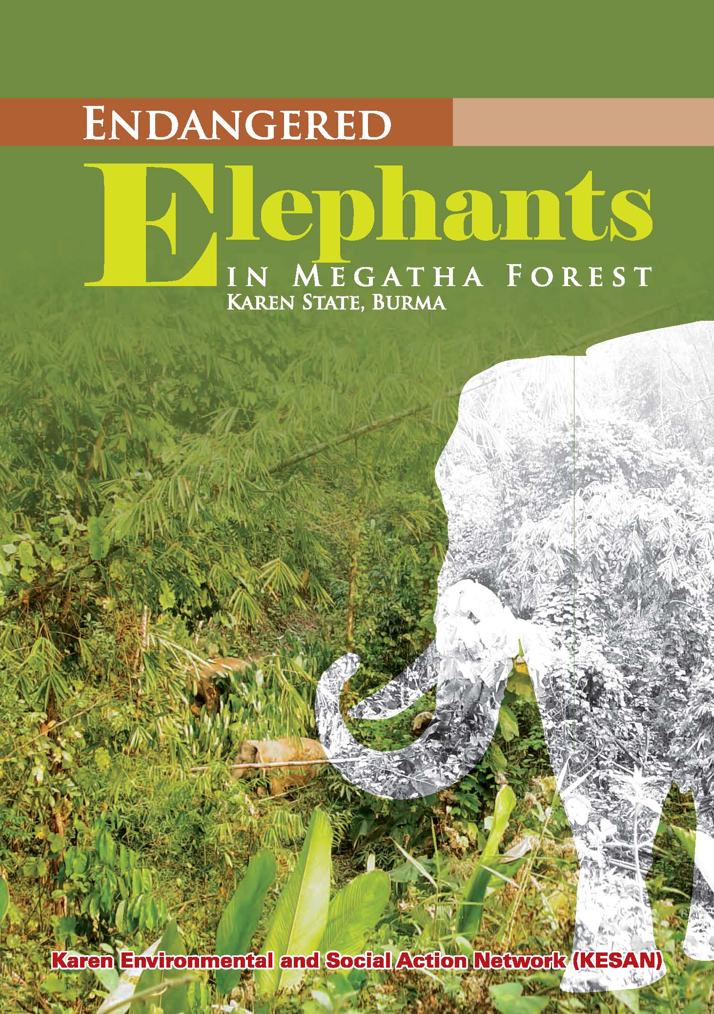 Endangered Elephants in Megatha Forest, Karen State, Burma
